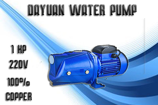 Dayuan Water Pump | Lazada PH