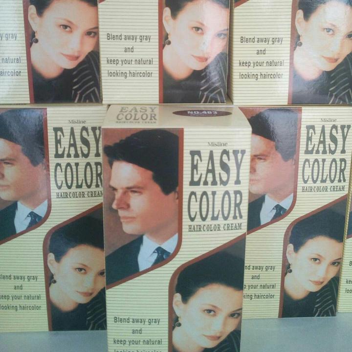 Easy Color ครีมปิดผมขาวno.484สีน้ำตาลเข้ม | Lazada.co.th