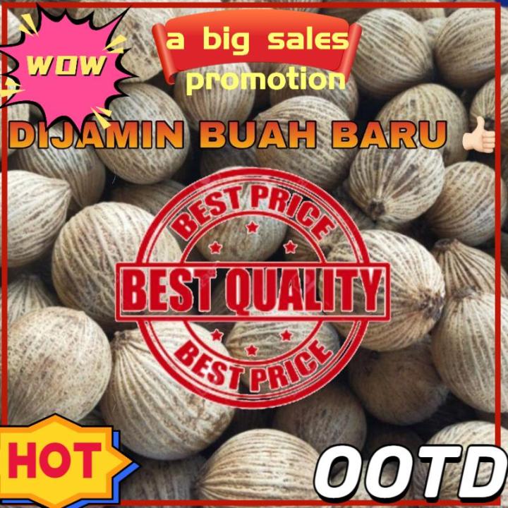 (seed) Buah Kulim Segar Dari Hutan 1Kg♘ | Lazada