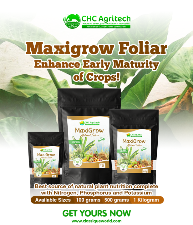 Maxigrow Foliar Fertilizer| CHC Agritech Maxigrow | Foliar | Maxigrow ...