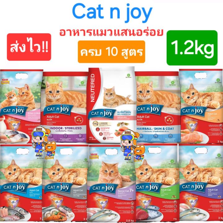 Cat n joy 1.2kg แค็ท เอ็นจอย อาหารแมว แสนอร่อย ครบ 10 สูตร Neutered Hairball ทำหมัน รสแซลมอน ...