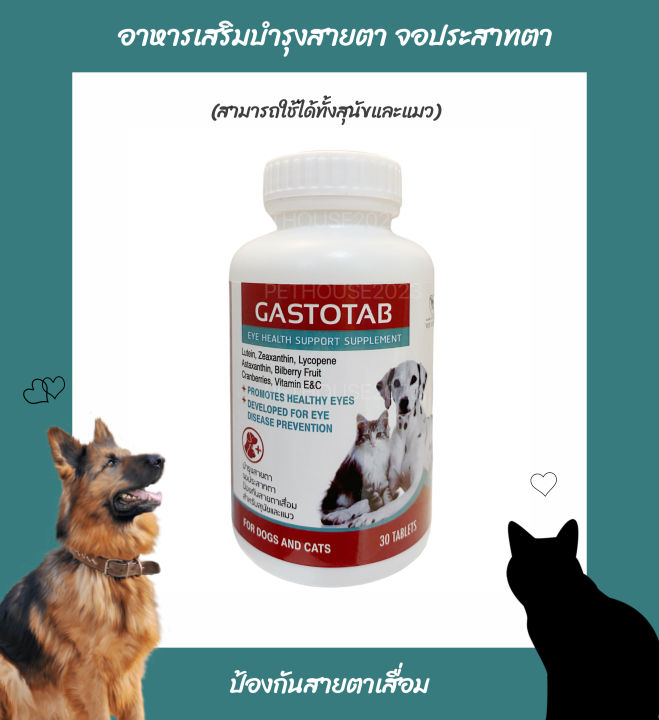GASTOTAB อาหารเสริมบำรุงสายตาสุนัขและแมว บำรุงจอประสาทตา ป้องกันสายตา ...
