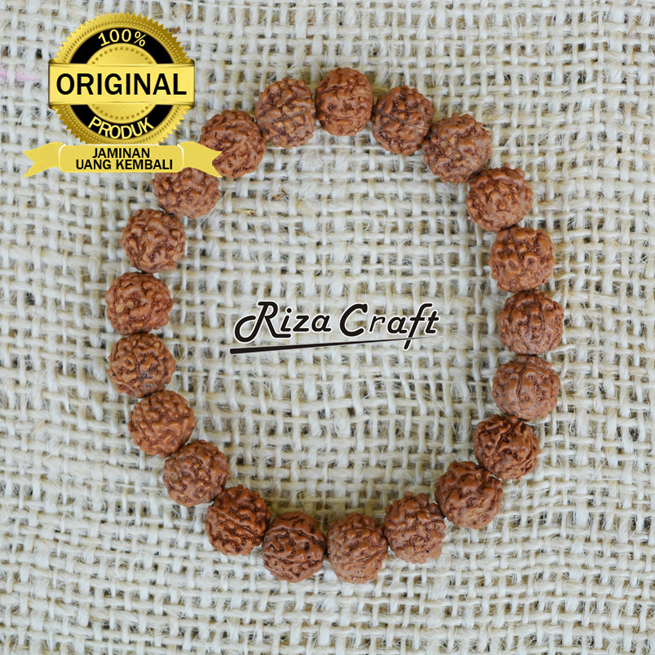 Gelang Terapi Kesehatan Biji Buah Jenitri Genitri Rudraksha ASLI ...