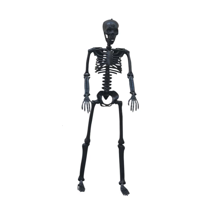 Life Size Posable Halloweens Skeleton Sturdy Plastic Indoor Outdoors ...