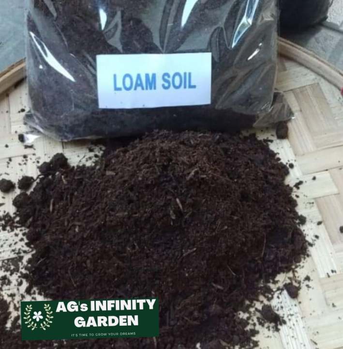 ORGANIC LOAM SOIL ( 1KG ) - Ready to use for Plants, such as Ornamental ...