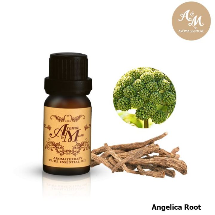 Aroma&More Angelica Root Essential oil ,น้ำมันหอมระเหยแอลเจลิกา รูท 100 ...