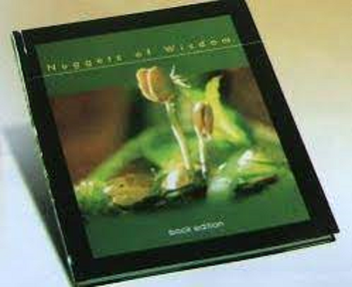 [Sealed] Nuggets of Wisdom PPH book | Lazada PH
