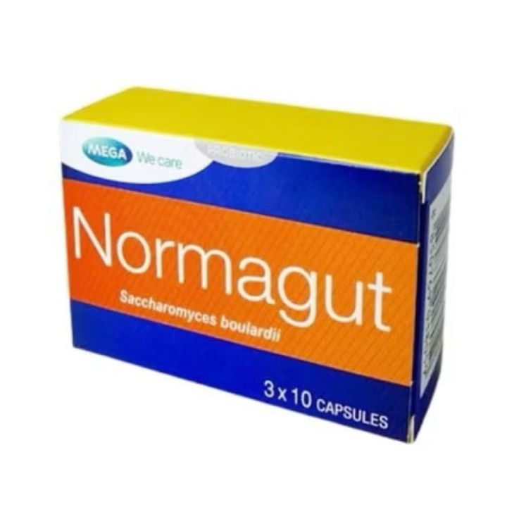 normagut capsul suplemen probiotik | Lazada Indonesia