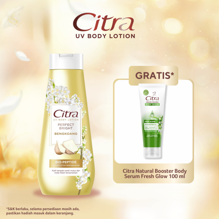 Citra UV Body Lotion Perfect Bright Bengkoang 210ml | Lazada Indonesia