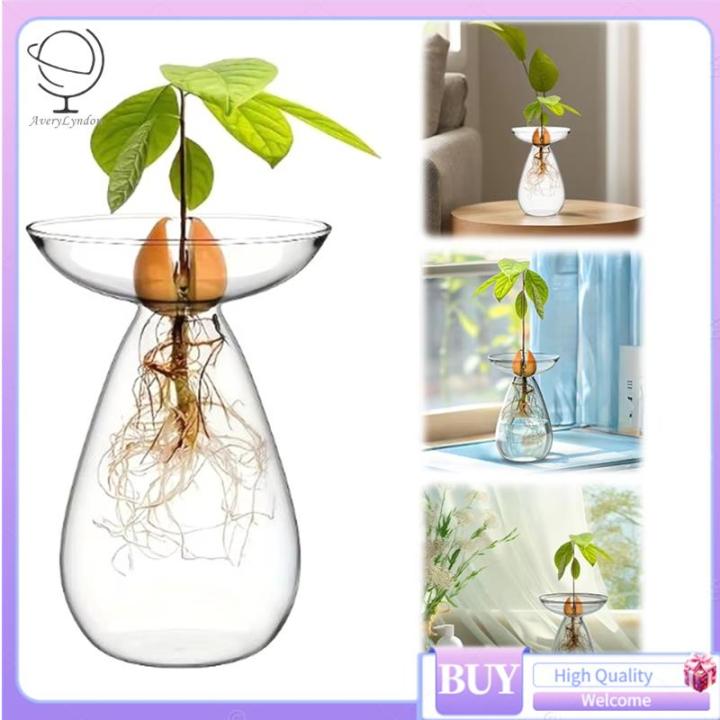 Avocado Hydroponic Vase Transparent Plant Propagation Station Glass ...