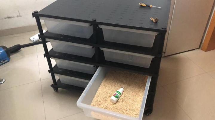 Wopai snake rack snake cabinet 60x30x12 (export-specific link) 1 floor ...