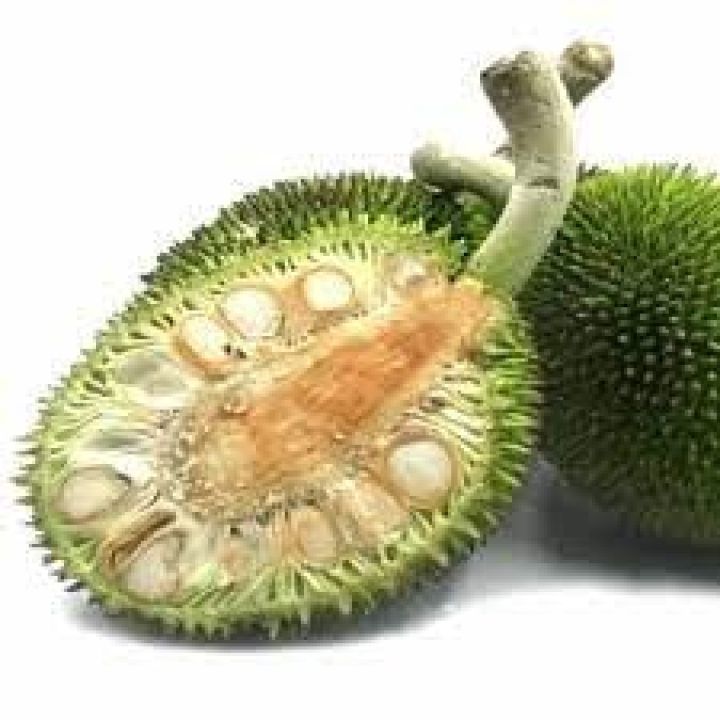 KLUWIH 1 BUAH | Lazada Indonesia