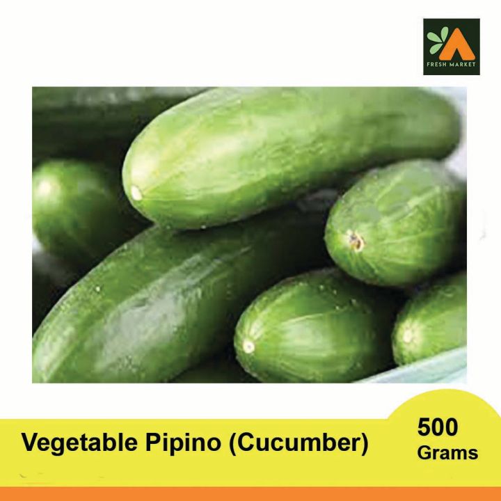 Vegetable Pipino (cucumber) 500 grams | Lazada PH