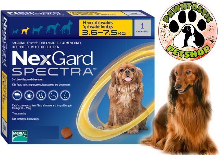 NexGard Spectra Chewable for Dogs 3.5-7.5kg [ONE TABLET ONLY w/ Free ...