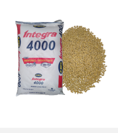 Integra 4000 1kg | Lazada PH