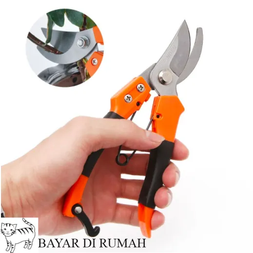 Gunting Taman Tanaman Prunning Stek Potong Dahan Seng | Lazada Indonesia
