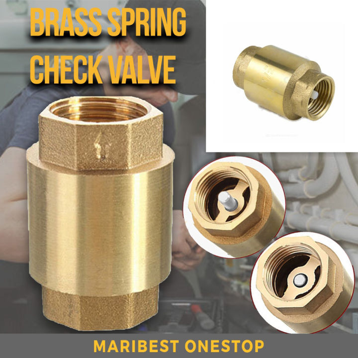 One Way Valve Spring Valve Check Valve Non Return Valve Brass Valve ...