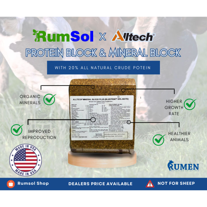 Alltech Protein Blocks Mineral Blocks Plus Mineral Block for Cattle ...