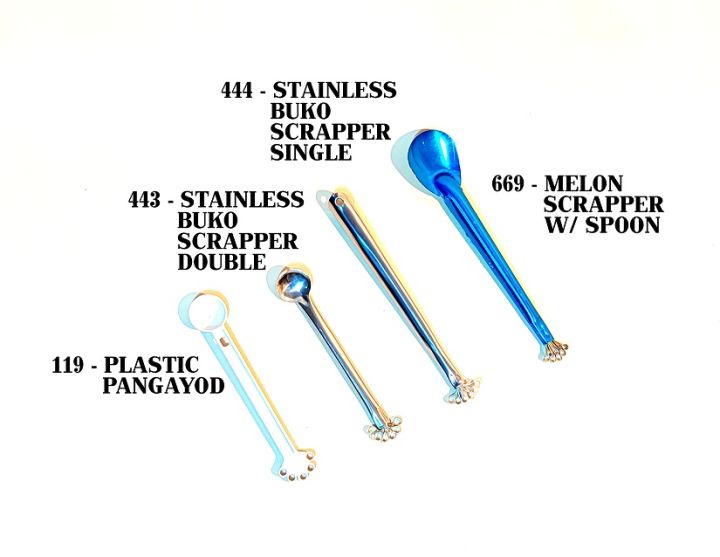 Stainless Buko Scrapper / Plastic Pangayod set of 3 | Lazada PH