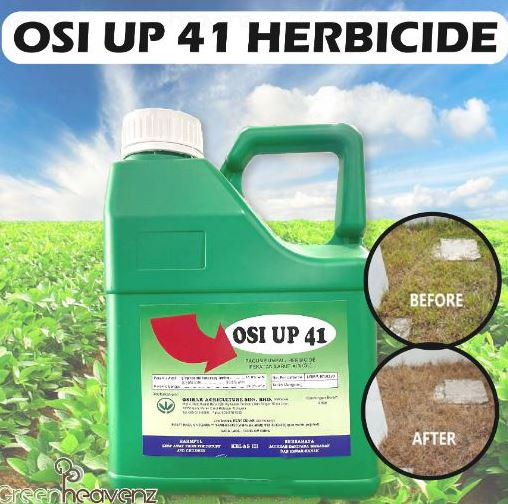GHZ - Roundup Monsanto Glyphosate 41% Racun Rumput Lalang Ubat Rumput ...