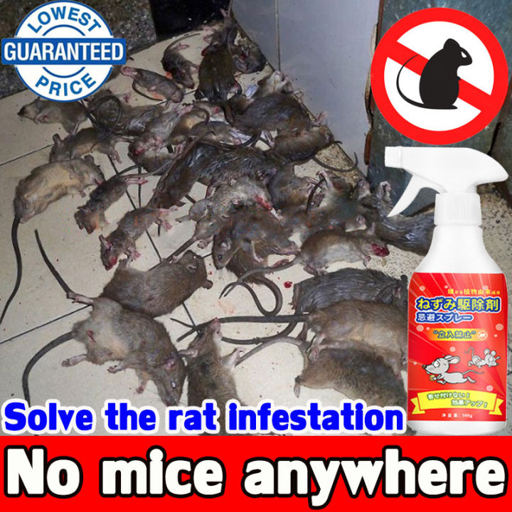 Rat repellent spray, rat repellent spray, rat repellent, rat repellent ...