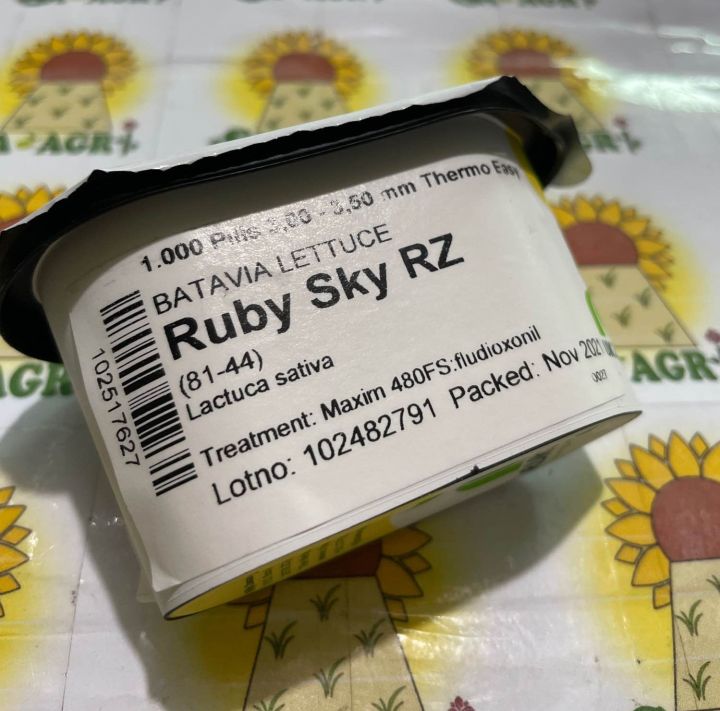 Ruby Sky RZ Batavia Lettuce Seeds (1000 pills ) | Lazada PH
