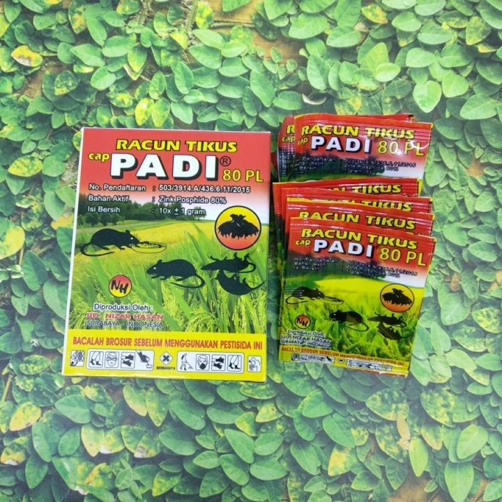 Racun Tikus Cap Padi | Lazada Indonesia