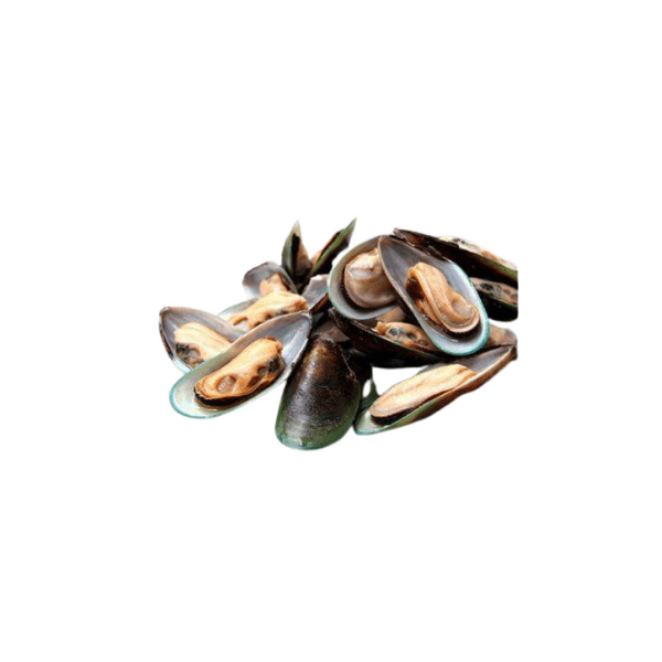 Seafood Chilean Mussels Half Shell 1kg | Lazada PH