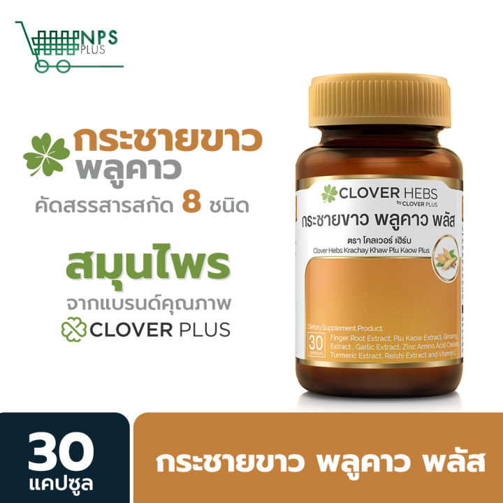 Clover Hebs กระชายขาว พลูคาว พลัส 1 กระปุก (30แคปซูล) จากผู้ผลิตอาหารเสริมคุณภาพ clover plus ...
