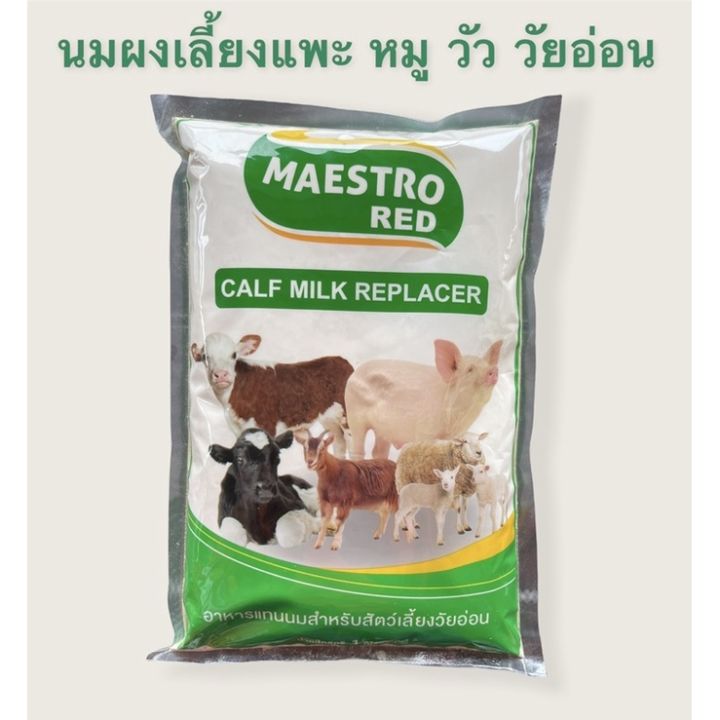 นมผงอีสซี่แลค Maestro 1kg นมทดแทนสำหรับแทนนมแม่วัว Calf milk replacer | Lazada.co.th