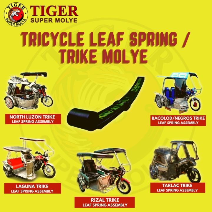 TRICYCLE LEAF SPRING ASSEMBLY/ TRIKE MOLYE SET | Lazada PH