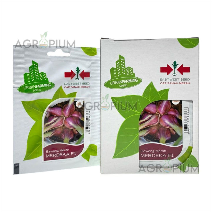 Benih Bawang Merah Merdeka F1 Isi 500 Butir Kemasan Cap Panah Merah ...