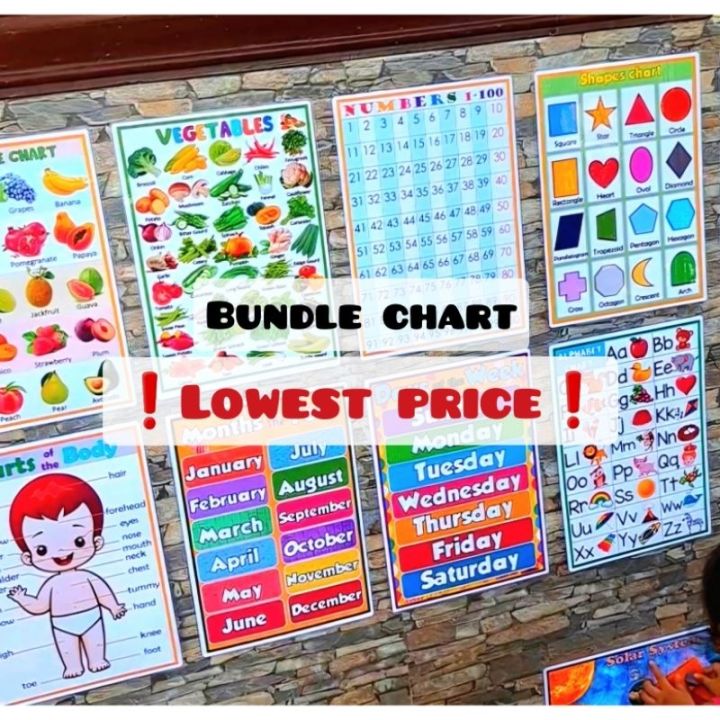 BUNDLE CHARTS LOWEST PRICE ️LAMINATED EDUCATIONAL WALL CHARTS A4 SIZE ...