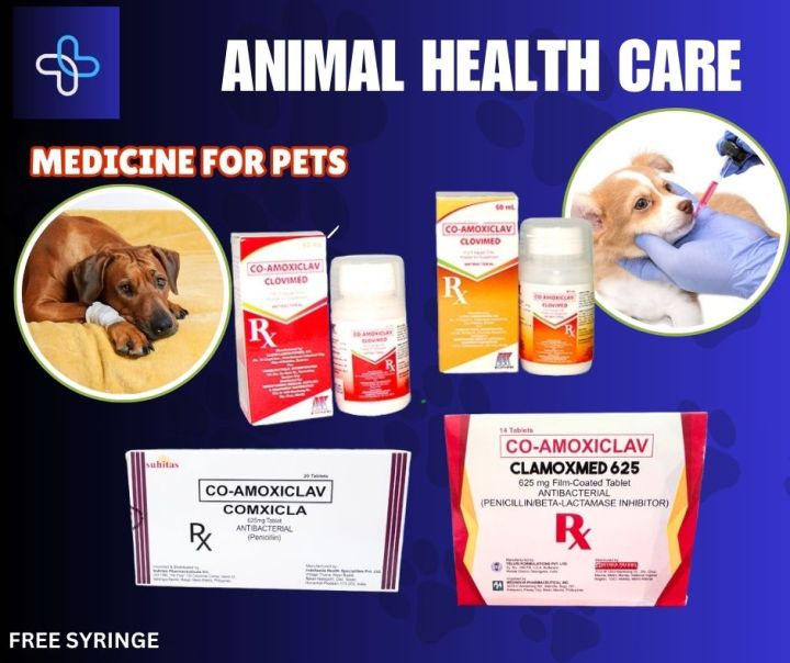 Comxicla/Co-Amoxiclav for Pets Free Syringe | Lazada PH