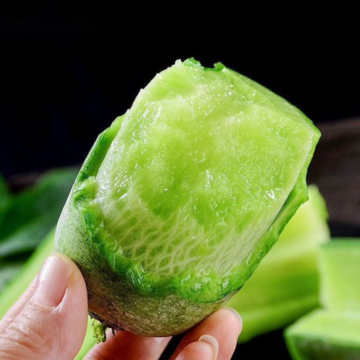 จัดส่งที่รวดเร็ว เมล็ดพันธุ์ หัวไชเท้าสีเขียว บรรจุ 300 เมล็ด Sweet ...