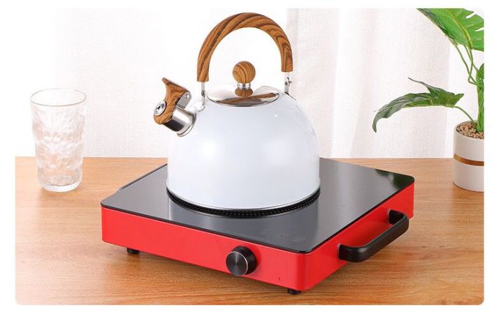 [MS] Teko Air Estetik / Teko Air Siul Stainless Steel 2.5L | Lazada ...