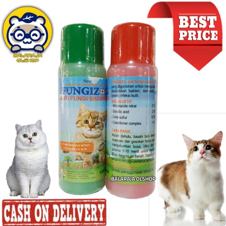SAMPO KUCING/KITTEN ANTI JAMUR - FUNGIZOL | Lazada Indonesia