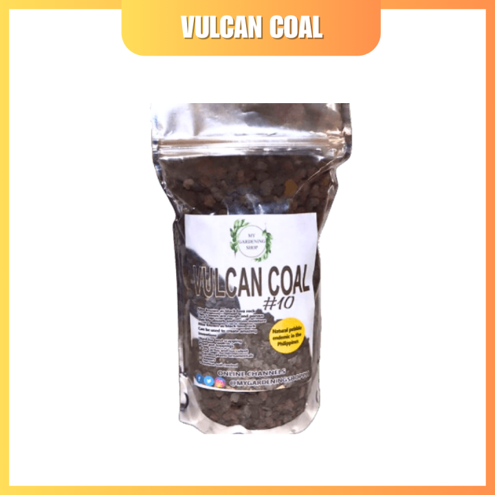 VULCAN COAL # 10 FOR PLANT DECOR AND LANDSCAPING | Lazada PH