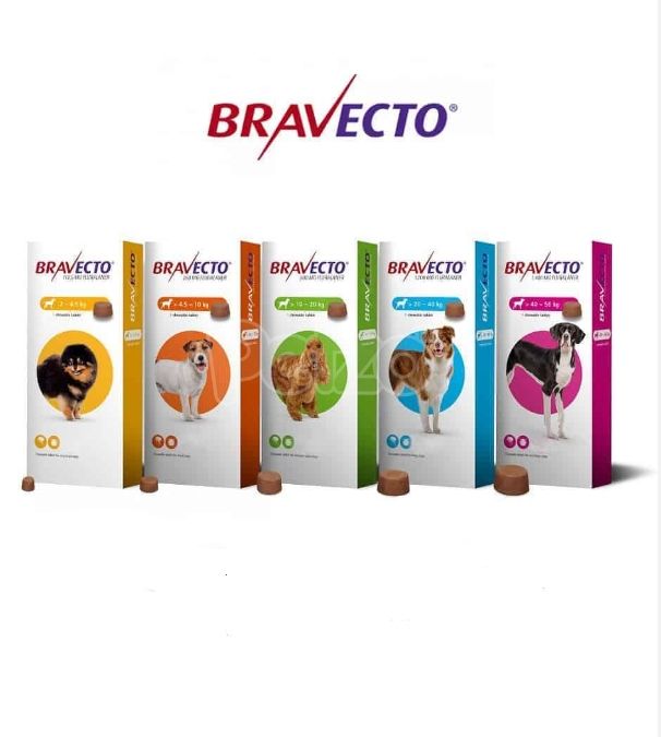 BRAVECTO chewable tablets para sa mga aso exp04/2025 Isang kahon ng 899 ...
