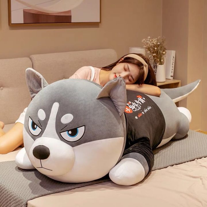 Gối ôm gấu bông chó ngáo husky 70cm, 1m, 1m2 nhồi bông cao cấp-LALA ...