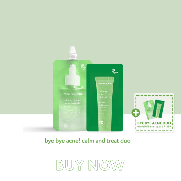 Face Republic Bye Bye Acne: Calm and Treat DUO | Lazada PH