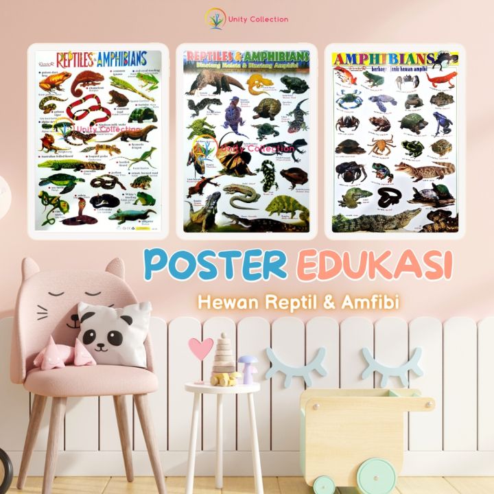 Poster Edukasi Anak Belajar Binatang Reptil dan Amphibi | Lazada Indonesia