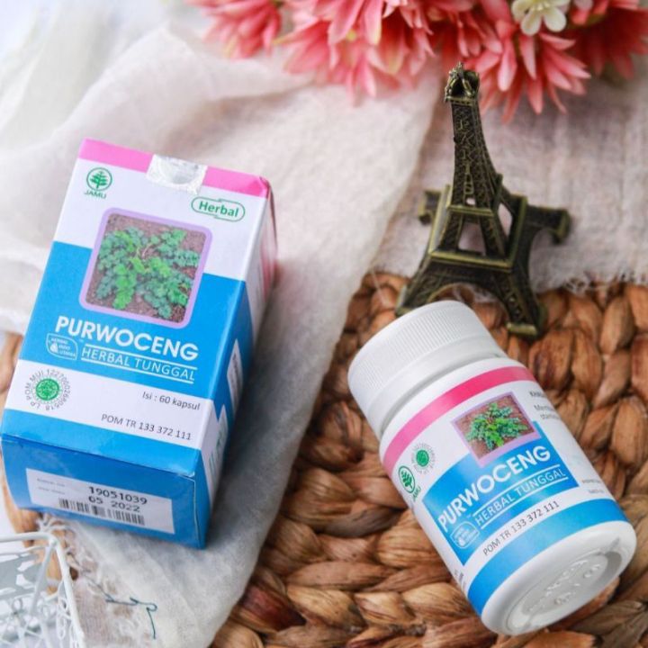 Purwoceng | Obat Herbal dan Tradisional | Lazada Indonesia