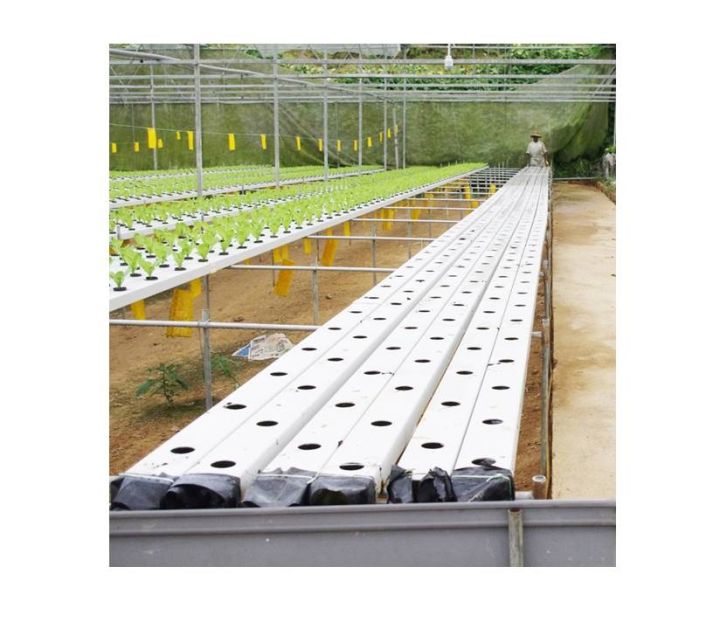 1pcs - 5/7 Hole Hydroponic Pipe / Fertigasi Hidroponik / Aquaponics ...