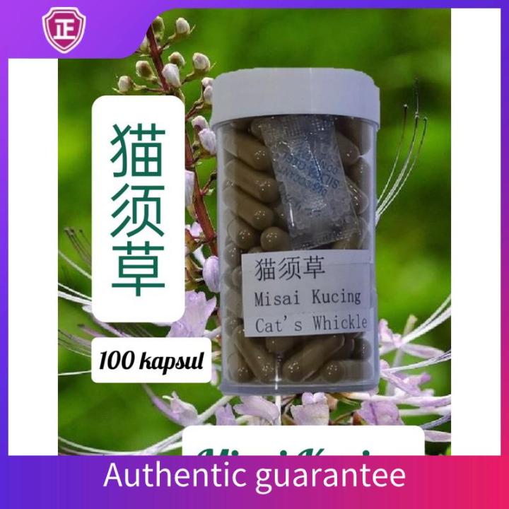 tea Misai Kucing纯猫须草(防糖尿益肾脏抗尿酸) | Lazada