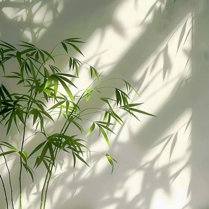 Live Streaming Background Wall 3d 3D Wallpaper Female Streamer ...