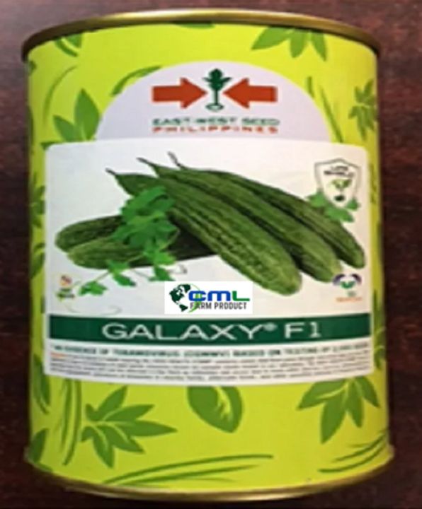 GALAXY F1 AMPALAYA 100 GRAMS 500 SEEDS | Lazada PH