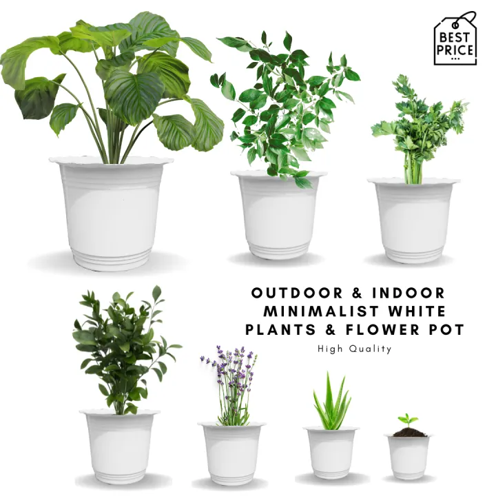 Flower Pots Minimalist White And Brown Indoor Outdoor Pots High Quality ...