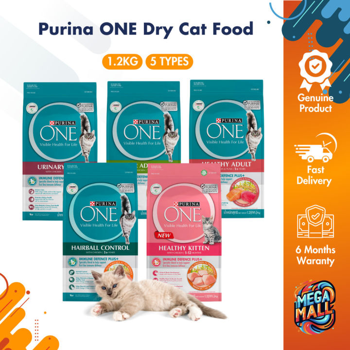 Purina ONE Dry Cat Food 1.2kg - Nutrient-Rich Kibble for Digestive ...