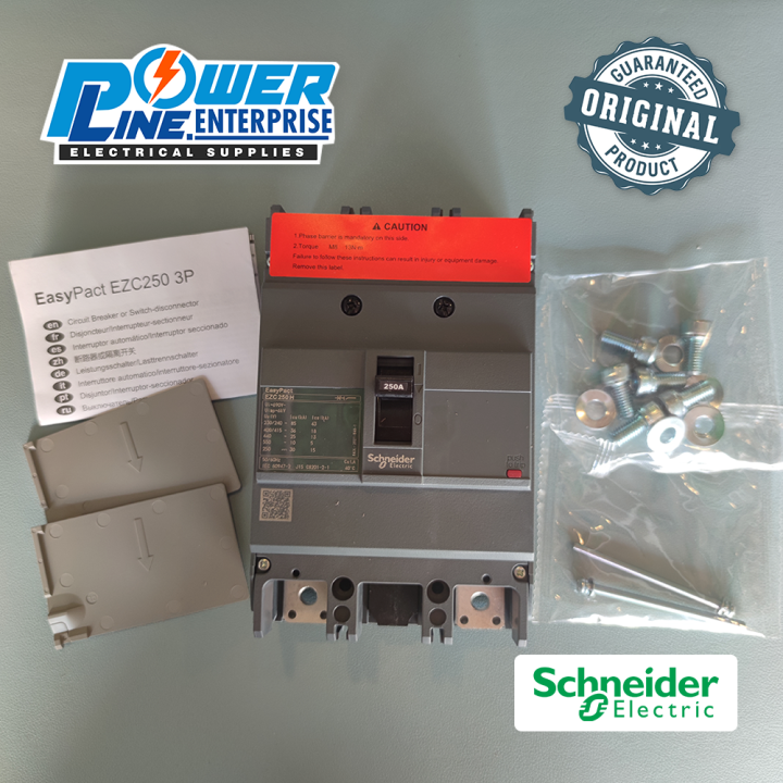 Schneider EZC H 125A - 250A 2 Pole Molded Case Circuit breaker | Lazada PH